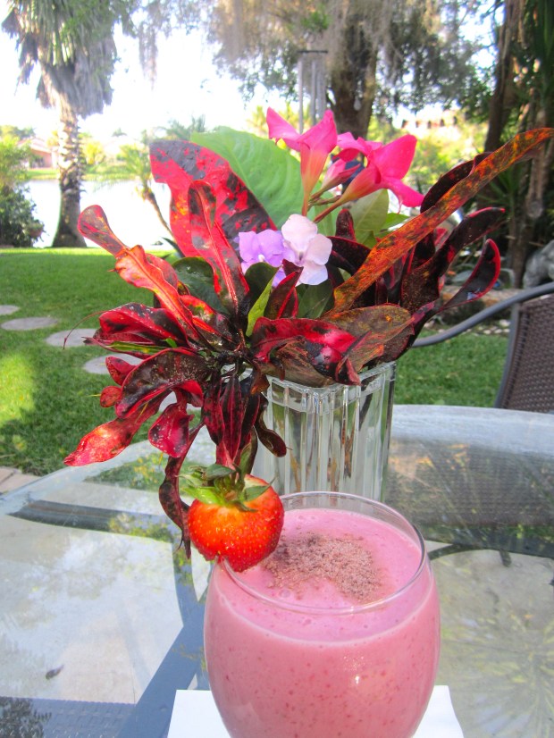 Strawberry, Vodka & Chocolate Smoothie | ChefsOpinion